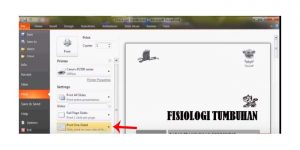 5 Cara Print Bolak Balik di Word, PDF, Excel dan PPT